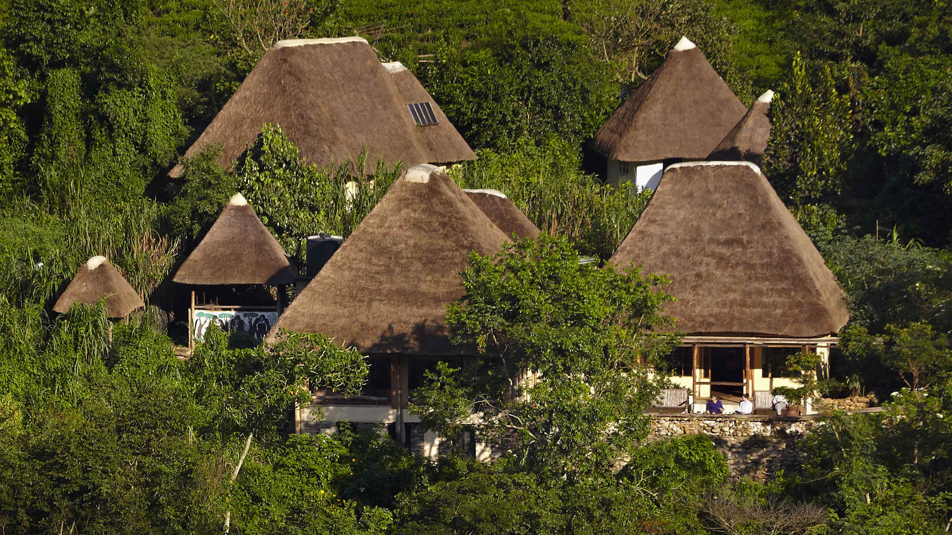 Bwindi Impenetrable Forest | Afritrek Holidays