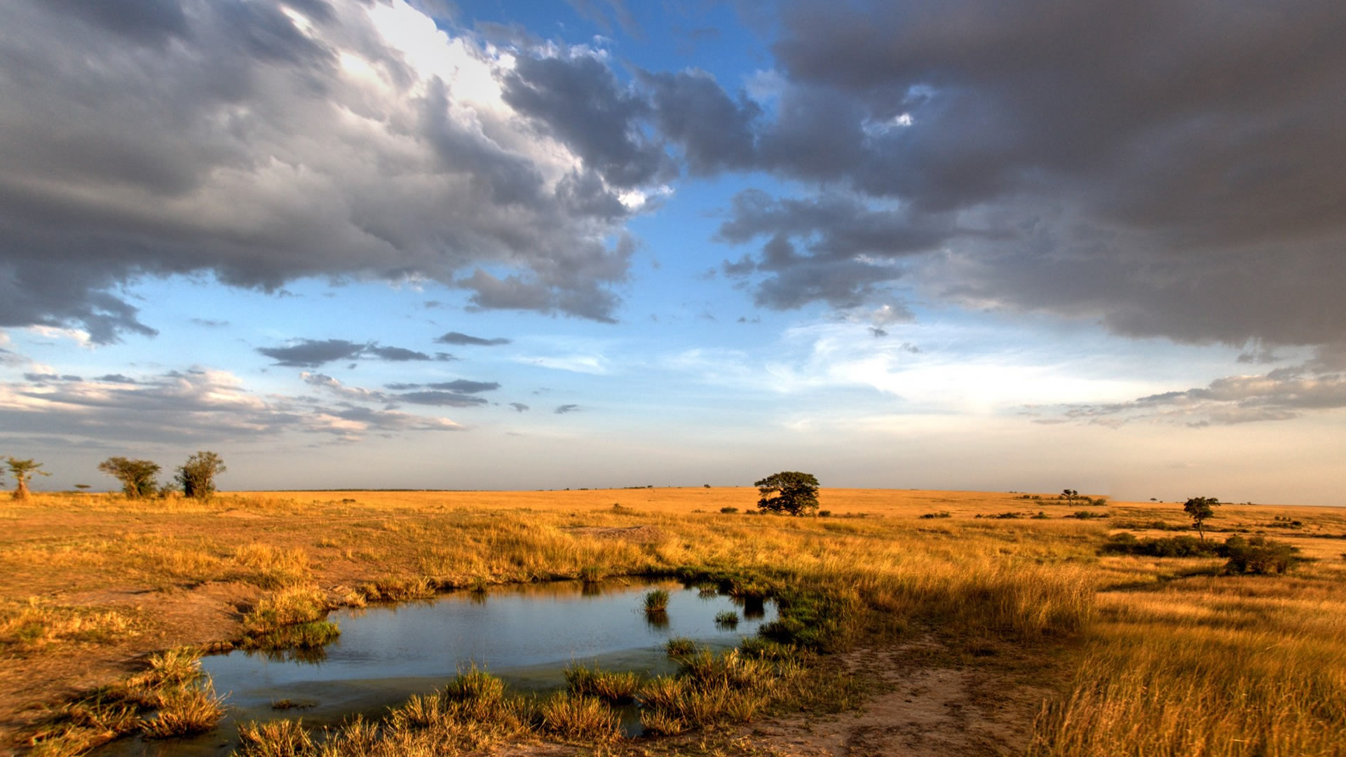 Kipalo Hills Lodge | Afritrek Holidays